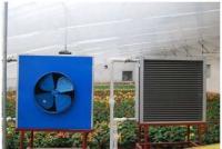 China Film Cover Greenhouses for Single Layer Growing of Vegetables Fruits and Flowers for sale