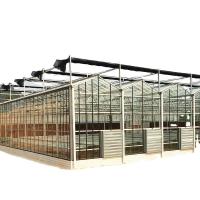 China Large Customized Agricultural Glass Greenhouse with PVC Hydroponic Gutter System for sale