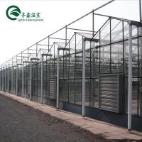 China Large Customized Agricultural Glass Greenhouse with PVC Hydroponic Gutter System for sale