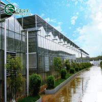 China Large Customized Agricultural Glass Greenhouse with PVC Hydroponic Gutter System for sale