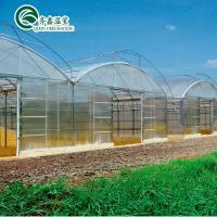 China Double or Single Layer Multi-Span Agricultural Greenhouses for Customizable Farming for sale