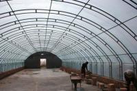China Film Cover Single Layer Agricultural Greenhouse for Sustainable Farming for sale