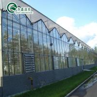 China Large Glass Greenhouse Mushroom Aeroponic Tower Garden for Eco Restaurant Instruction for sale