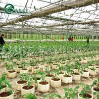 China Large Glass Greenhouse Mushroom Aeroponic Tower Garden for Eco Restaurant Instruction for sale