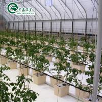 China Multi-Span Agricultural Greenhouses with Used Container Hydroponic Growing Systems for sale
