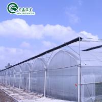 China Multi-Span Agricultural Greenhouses with Used Container Hydroponic Growing Systems for sale