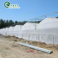 China Multi-Span Agricultural Greenhouses with Used Container Hydroponic Growing Systems for sale