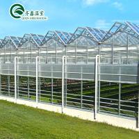 China Glass Covered Vertical Hydroponic System for Growing Vegetables Fruits and Flowers for sale