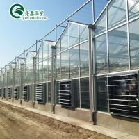 China Glass Covered Vertical Hydroponic System for Growing Vegetables Fruits and Flowers for sale
