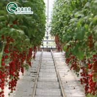 China PO Tower Garden for Vegetable Fruits Flowers Budget-Friendly Agricultural Greenhouse for sale