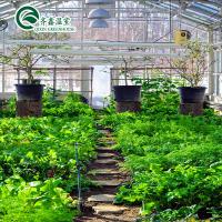 China Vegetable Fruits Flowers Tomatoes PC Sheet Greenhouses for Eco-Conscious Restaurants for sale