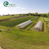 China Grow Your Own Vegetables Fruits and Flowers with Our Commercial Greenhouse Philippines for sale
