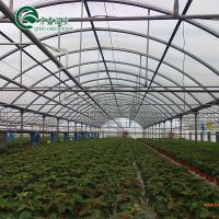 China Vegetable Fruits Flowers Tomatoes PC Sheet Greenhouses for Eco-Conscious Restaurants for sale