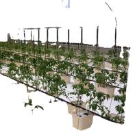 China Commercial Aquaponic Aquarium System Prefabricated PO Greenhouses for Vegetables for sale