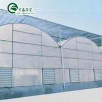 China Used Container Tomato Greenhouse PE Material Optional Ventilation System for sale