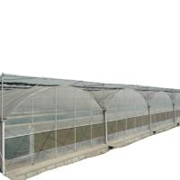 China Used Container Tomato Greenhouse PE Material Optional Ventilation System for sale