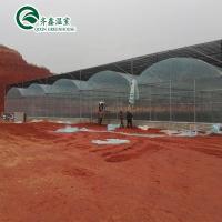 China Used Container Tomato Greenhouse PE Material Optional Ventilation System for sale