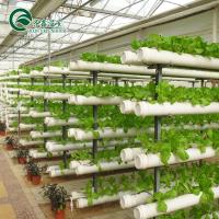 China Complete Hydroponic Grow Tent for Indoor Growing of Vegetables Fruits Flowers and Tomatoes for sale