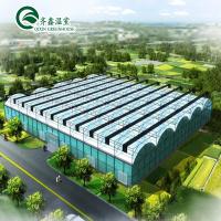 China Complete Hydroponic Grow Tent for Indoor Growing of Vegetables Fruits Flowers and Tomatoes for sale