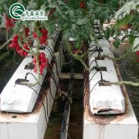 China PO Tower Garden for Vegetable Fruits Flowers Budget-Friendly Agricultural Greenhouse for sale