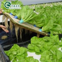 China PO Tower Garden for Vegetable Fruits Flowers Budget-Friendly Agricultural Greenhouse for sale
