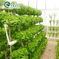 China Complete Hydroponic Grow Tent for Indoor Growing of Vegetables Fruits Flowers and Tomatoes for sale