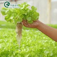 China PO Tower Garden for Vegetable Fruits Flowers Budget-Friendly Agricultural Greenhouse for sale