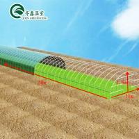 China Single-Span Agricultural Greenhouses with Film Cover The Perfect Growing Environment for sale