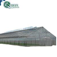 China Film Covered Greenhouse Tower Garden/Aduaponics for Sustainable Farming Solutions for sale