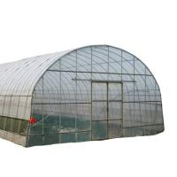 China Vegetable Fruits Flowers Mushroom House for Eco-friendly Growing for sale