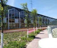 China Multi-Span Agricultural Greenhouses Top Covering with Tempered Glass or PC Sheet for sale