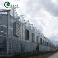 China Multi-Span Agricultural Greenhouses Top Covering with Tempered Glass or PC Sheet for sale