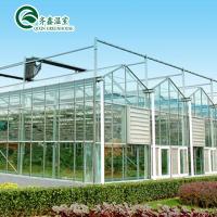 China Venlo Multi-Span Greenhouse Enhance Agriculture with Inside and Outside Shading System for sale