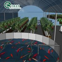 China Vegetable Fruits Flowers Aquaponics System Multi-Span Agricultural Greenhouses Yield for sale