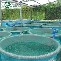 China Vegetable Fruits Flowers Aquaponics System Multi-Span Agricultural Greenhouses Yield for sale