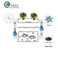 China Single Layer Tower Garden for Aduaponics Affordable Agricultural Greenhouse for sale