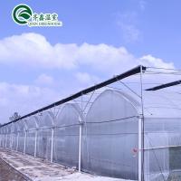 China Multi-Span Agricultural Greenhouses Hydroponic Aeroponic Tower Garden for Film Greenhouse for sale
