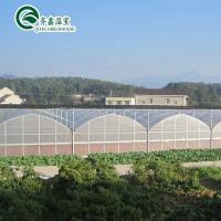 China Multi-Span Agricultural Greenhouses Hydroponic Aeroponic Tower Garden for Film Greenhouse for sale
