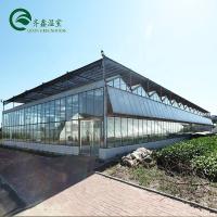 China Glass Greenhouse Ventilation System with Tempered Glass or PC Sheet Top Covering for sale