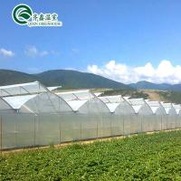 China Multi-Span Agricultural Greenhouses Hydroponic Aeroponic Tower Garden for Film Greenhouse for sale