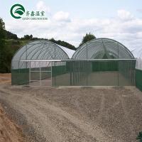 China 30 x 100 Vegetable Growing Film Covered Multi-span Arch Greenhouse with PO Cover for sale