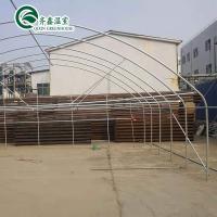 China Single-Span Agricultural Greenhouses with Film Cover The Perfect Growing Environment for sale