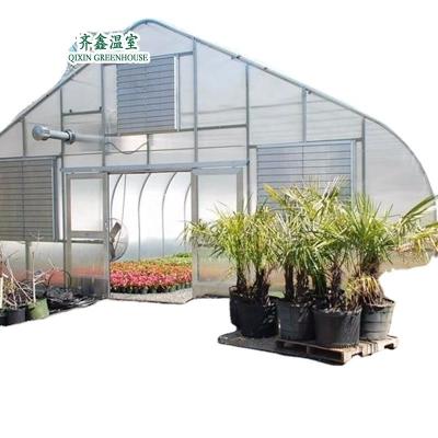 China Commercial Film Covered Single Tunnel Greenhouse for Maximizing Agricultural Output for sale
