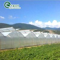 China Commercial Film Covered Single Tunnel Greenhouse for Maximizing Agricultural Output for sale