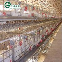 China Large Double Layer Chicken Farm Multi-Span Film Greenhouse Customizable Size for sale