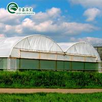 China Large Double Layer Chicken Farm Multi-Span Film Greenhouse Customizable Size for sale