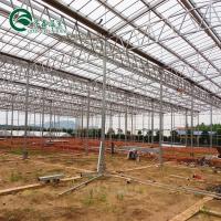 China Transparent Polythene Tunnel Greenhouse for Growing Vegetables AGRICULTURE Instruction for sale
