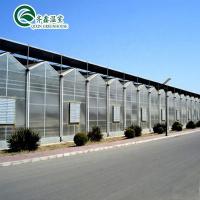 China Transparent Polythene Tunnel Greenhouse for Growing Vegetables AGRICULTURE Instruction for sale