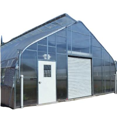 China Vegetable Fruits Flowers Mushroom House for Eco-friendly Growing for sale