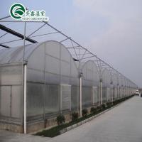 China PC Sheet Cover Material Multi-Span Agricultural Greenhouse for Vegetable Growing for sale